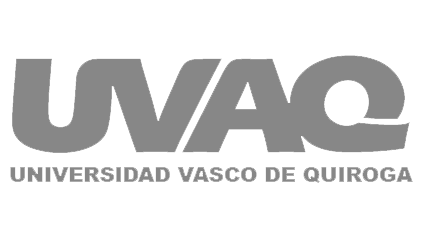 AMIID – Asociación Mexicana de Instituciones de Enseñanza del Interiorismo y Diseño